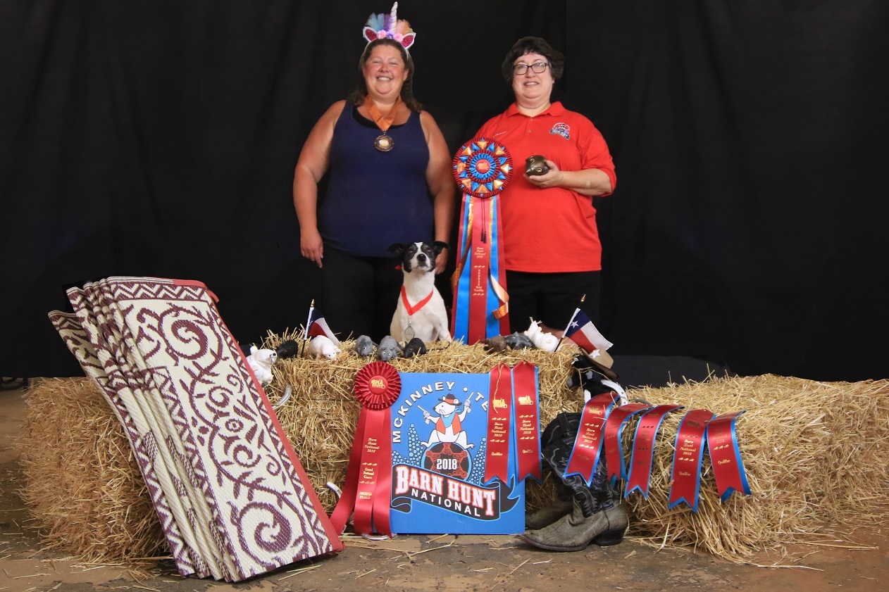 About Us – Revolution Dog Sports