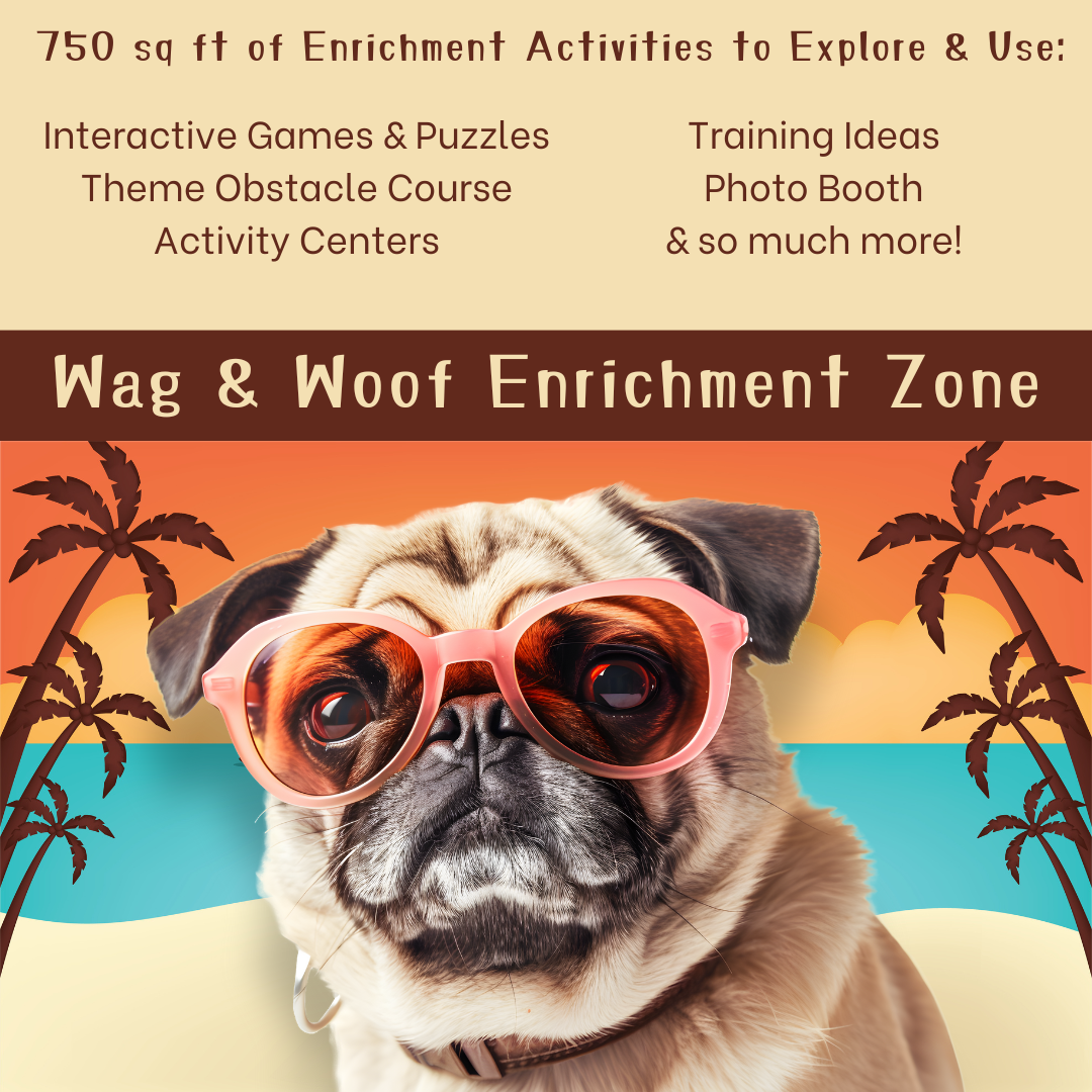 Recurring Classes – Revolution Dog Sports